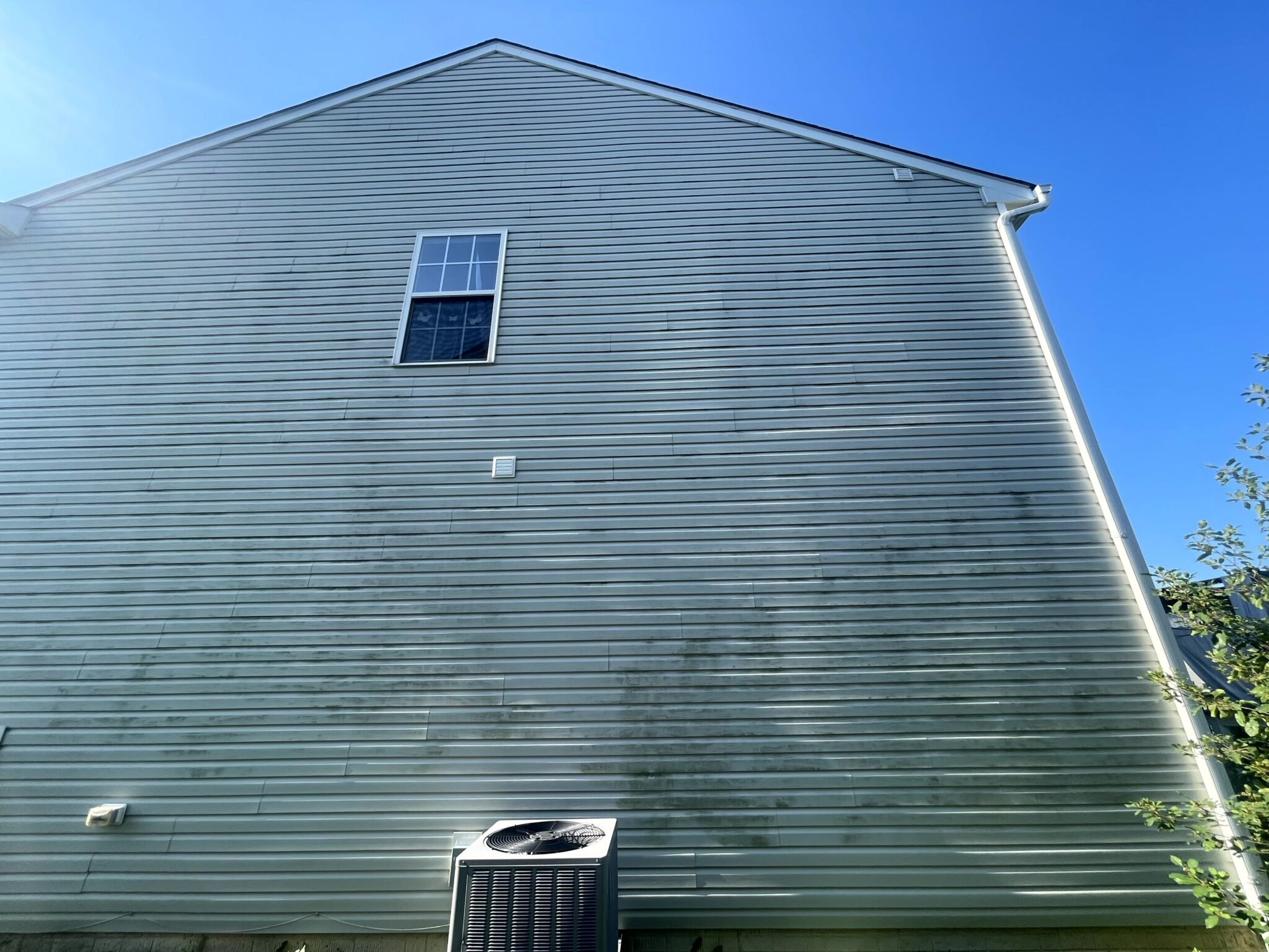 The Hidden Dangers of Mold and Mildew: Why Pressure Washing Is the Best ...